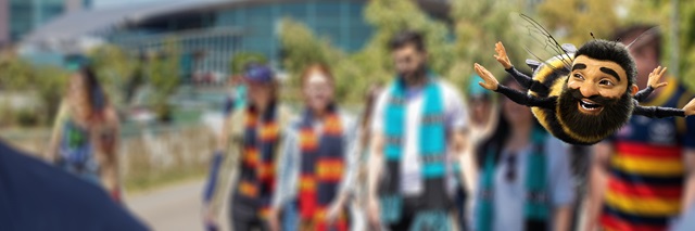 Membership – Benefits of becoming an RAA Member | RAA